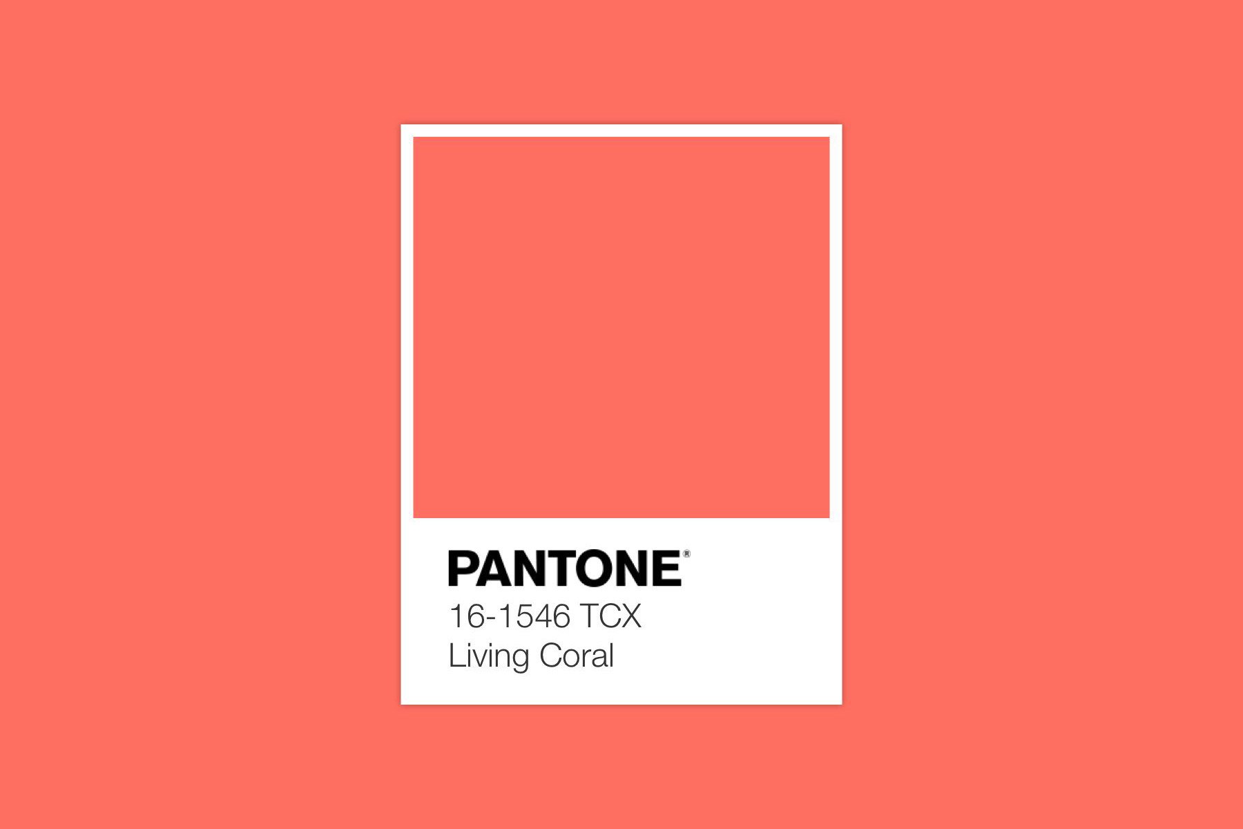 Pantone 2019 Yılının Rengini Açıkladı: Canlı Kırmızı Mercan Rengi ...