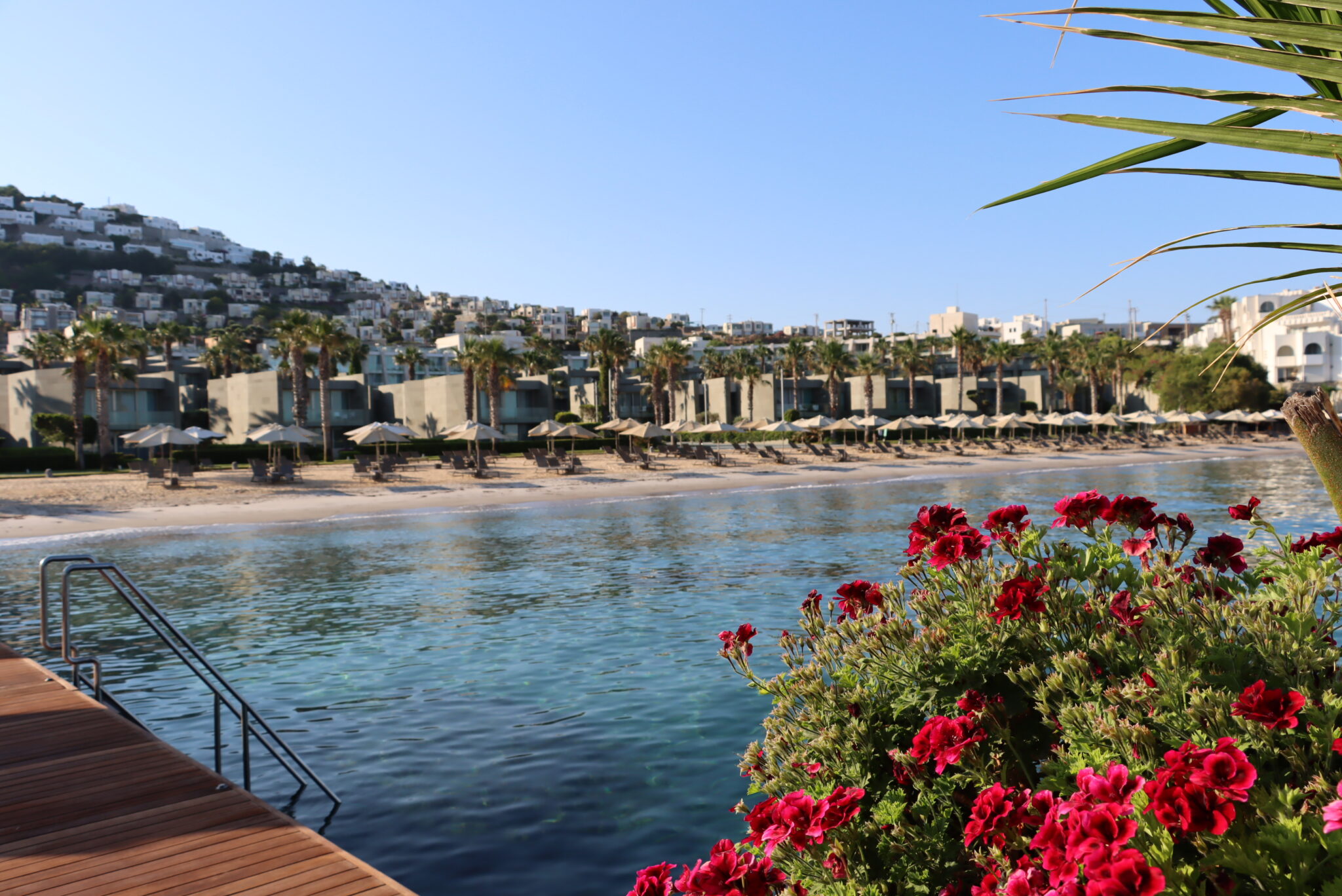 Swissôtel Resort Bodrum Beach’te Yaz Tüm Hızıyla Devam Ediyor - Marie ...