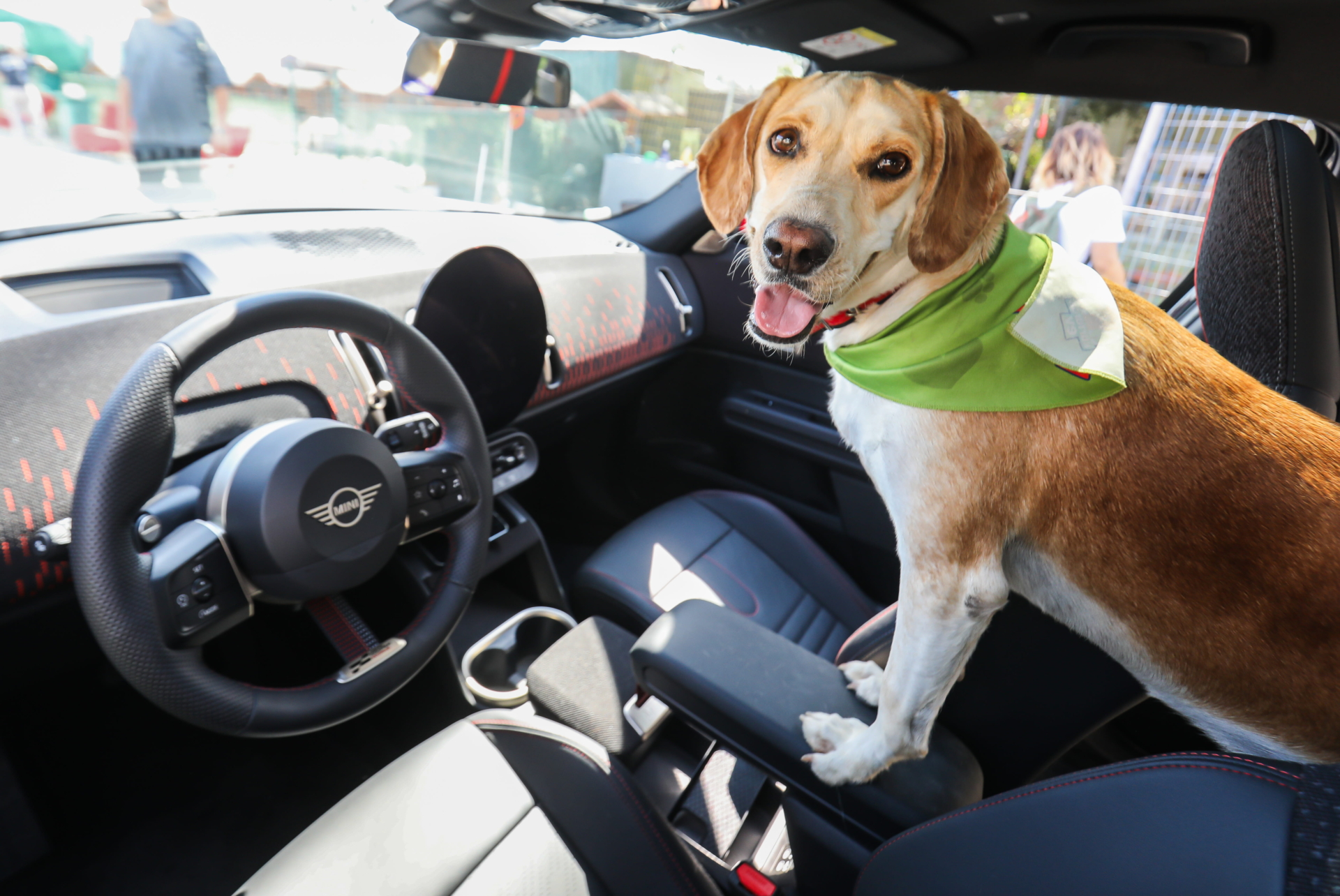 MINI ve Kurtaran Ev’den anlamlı bir iş birliği: MINI PATİ - Marie ...